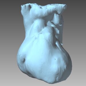 ポリゴンデータ作成編集サービス・ソフト販売・受託開発 | MIYASAKA | 3次元計測データ(STLなど）の活用、処理の自動化の支援